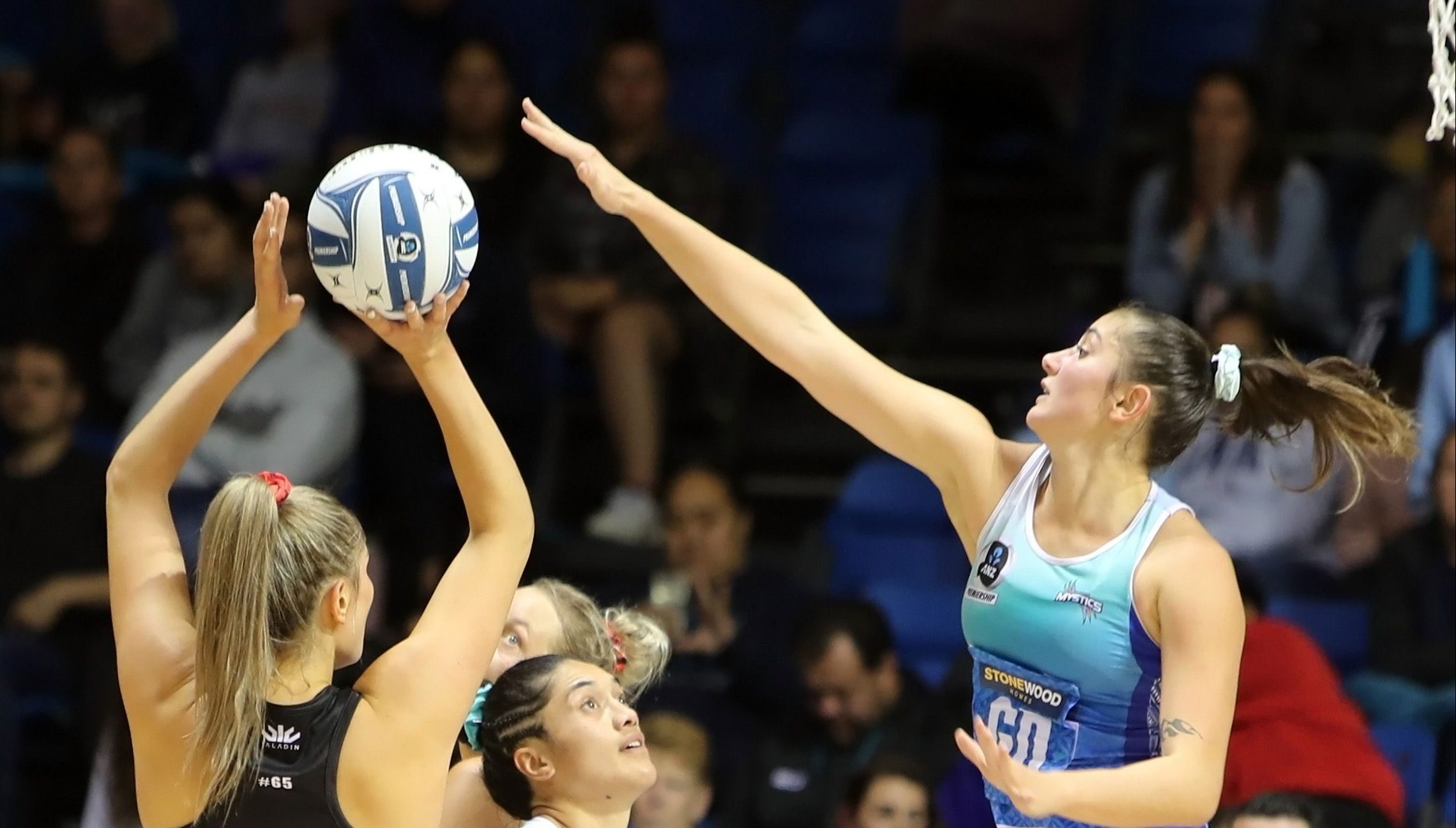 Q and A – KATE BURLEY | Northern Mystics
